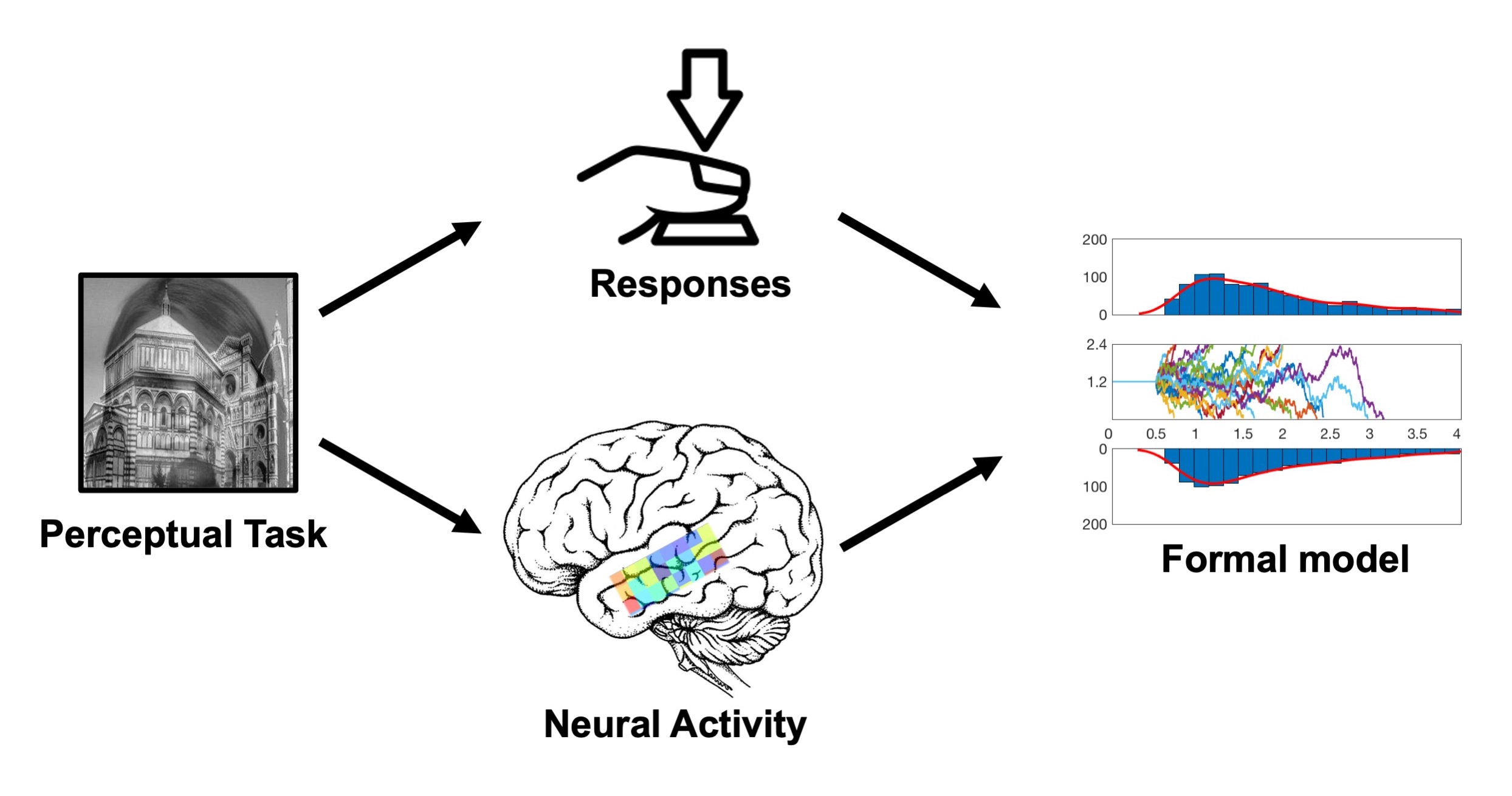 Motivated visual perception | Yuan Chang Leong, PhD